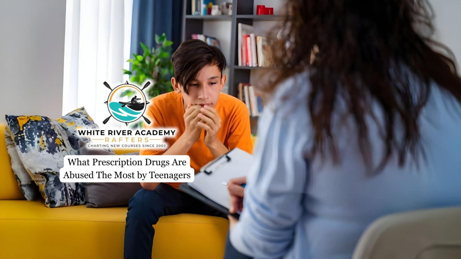 What Prescription Drugs Are Abused The Most by Teenagers | White River ...